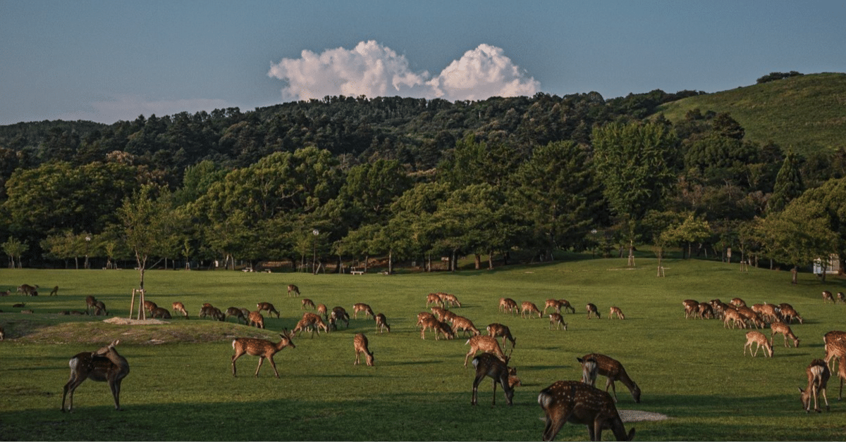 正倉院展といえば｜AMANO Kei