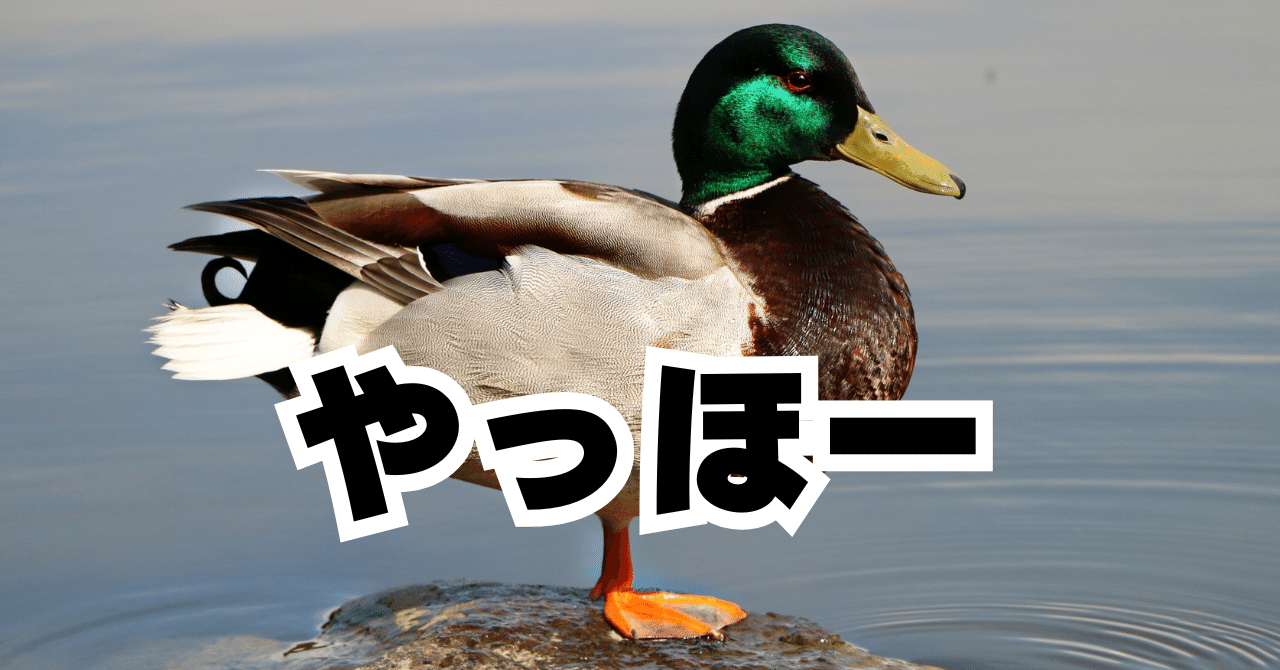 あなたもヤツのカモになるカモ？｜Mr.Richman