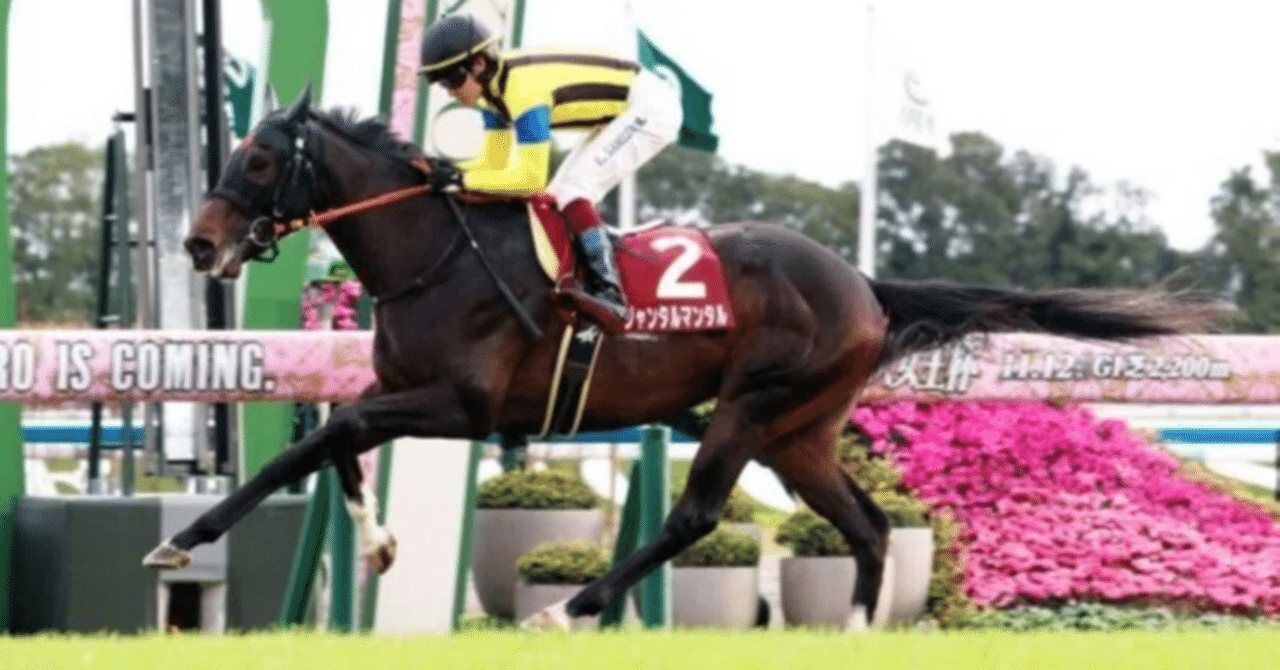 【2024 デイリー杯2歳S（G2）】日刊馬番コンピ指数分析予想篇｜Haya