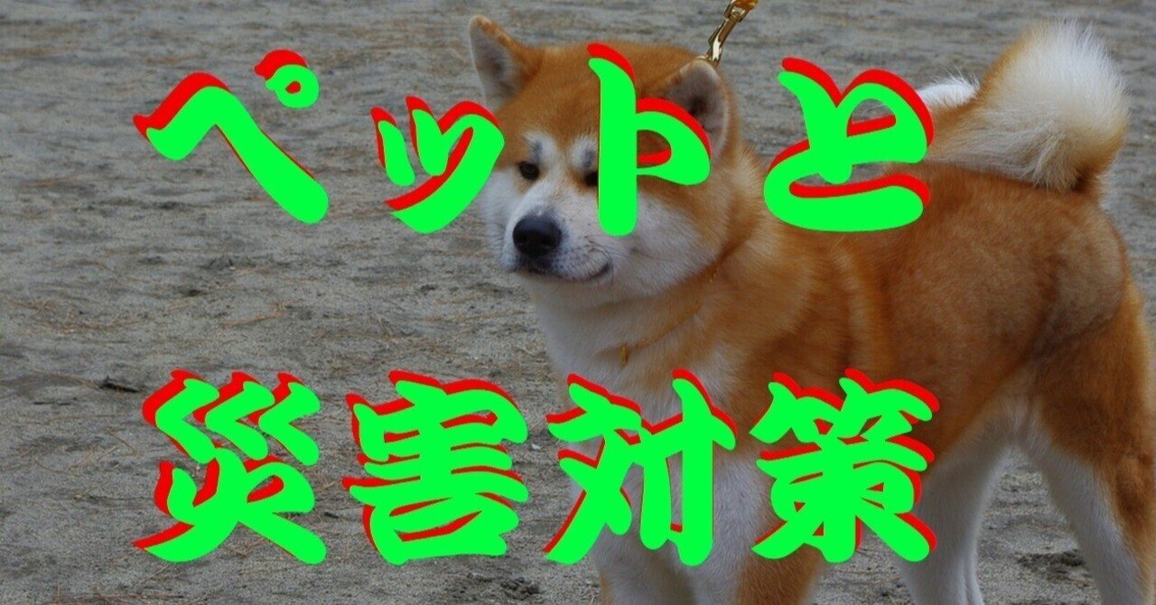 ペットと災害対策｜cyo99