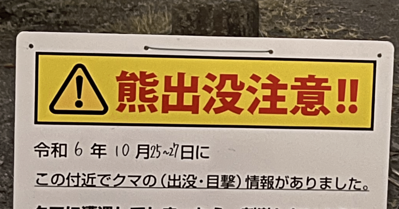 DAY 75 熊出没！！｜jucon110