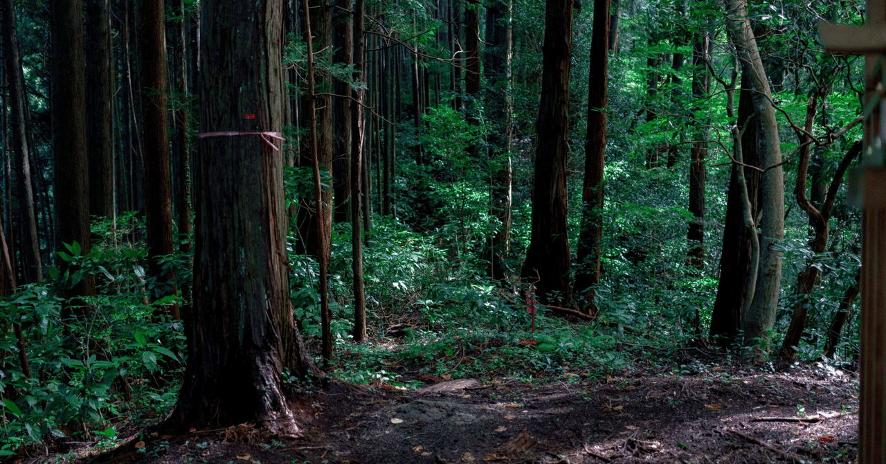 定期購読マガジン記事『行動する人、しない人』no.62 質を上げる方法～質を上げるための3段階～｜Ryosuke Matsusima