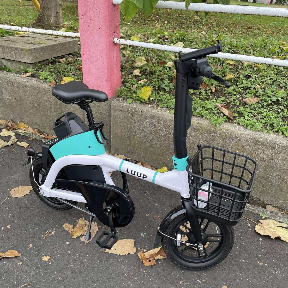 語学オタクのアラ還主婦のLUUP初体験｜Gerry