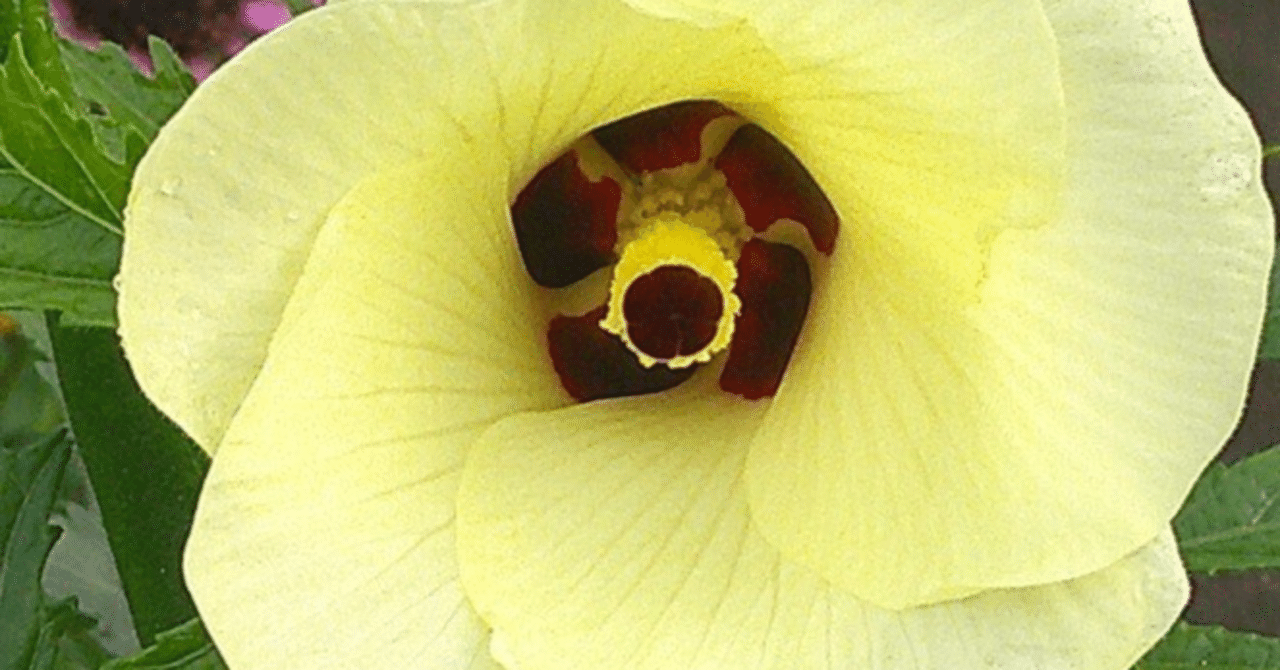 LINEコミュニケーションの極意：時代に合わせた言葉選びと表現方法｜「元ダメ恋愛体質の私が実践した方法」CocoCute