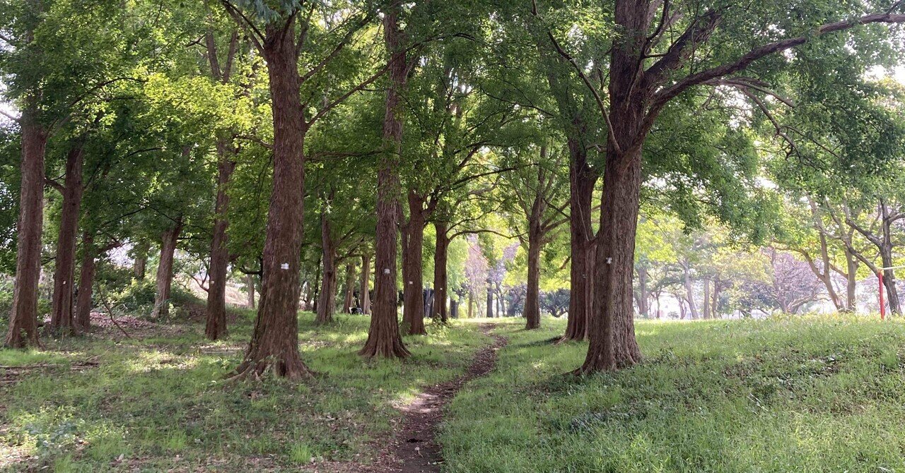 意外と進んでたりする／心がけること｜ちひろ/CHIHIIO SAVA