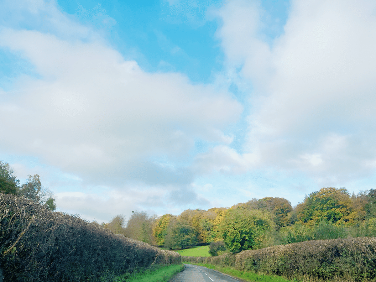 イギリスから蠍座新月のお話｜MASAE