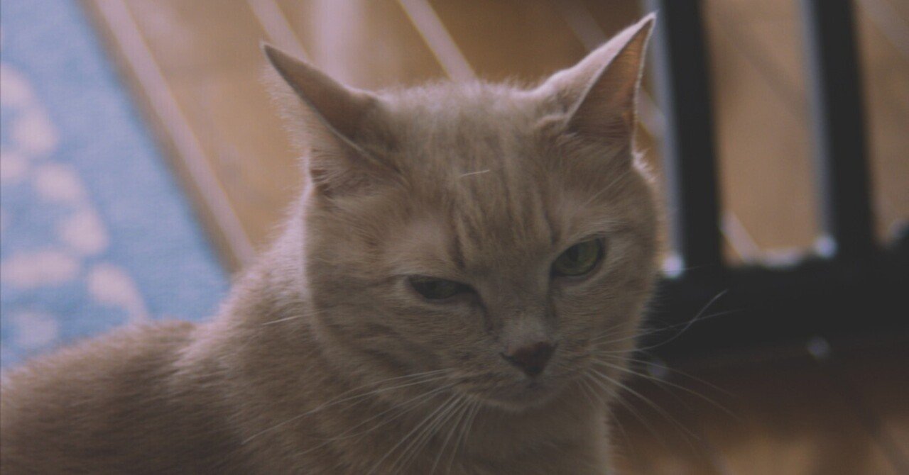 【継続力】10秒つづける｜ryosukewexer