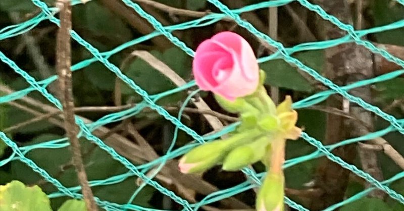 Yukihiko Yamada ｜note