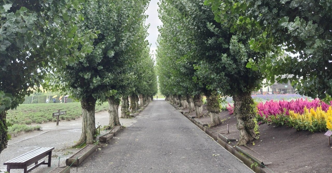 気が合わない人から学ぶ｜coco.mile