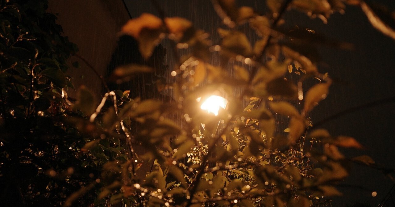 Weekly Journal (10/27-11/2) ｜Haruna Sano 佐野陽菜