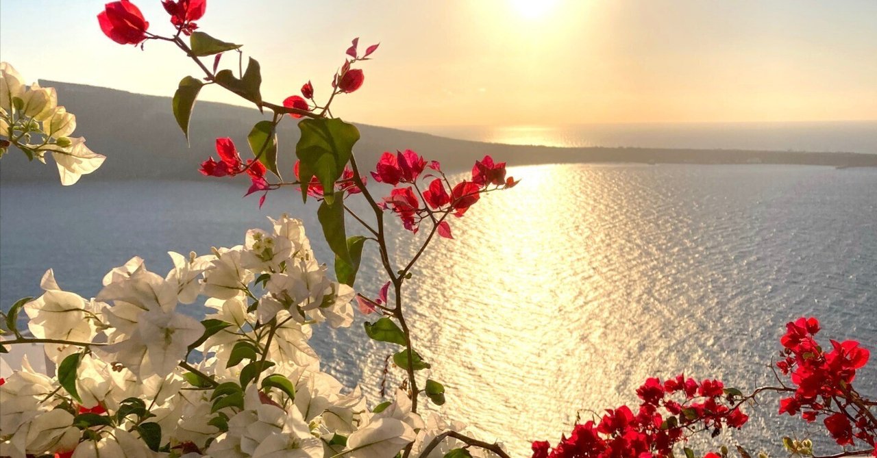 よしりんの4毒抜き生活の扉をひらく・・①モチベーションは酸性体質脱出｜内側から繋がる本質の自分 By Michiko Schneck 〜地に足ついたスピリチュアル