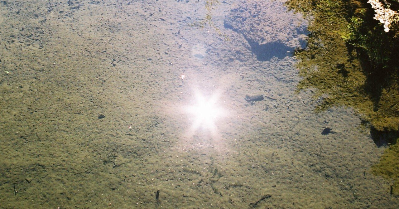 光の情報。・。・。・。。｜Cosmic Suzu