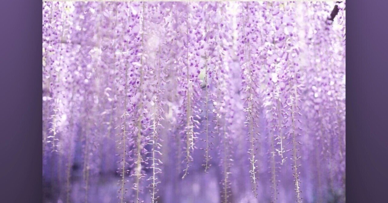 尺八アンビエント続編｜ワキマル・ジュンイチ（Junichi Wakimaru）