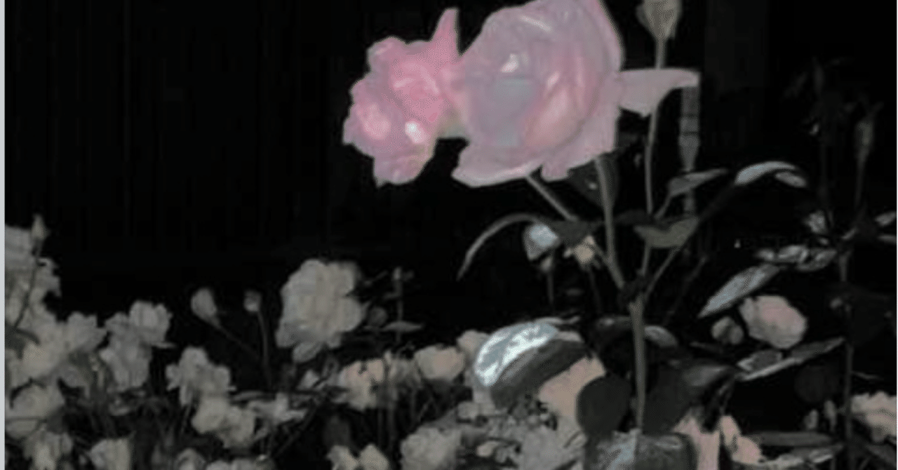 4年前の夜の薔薇｜Akemi