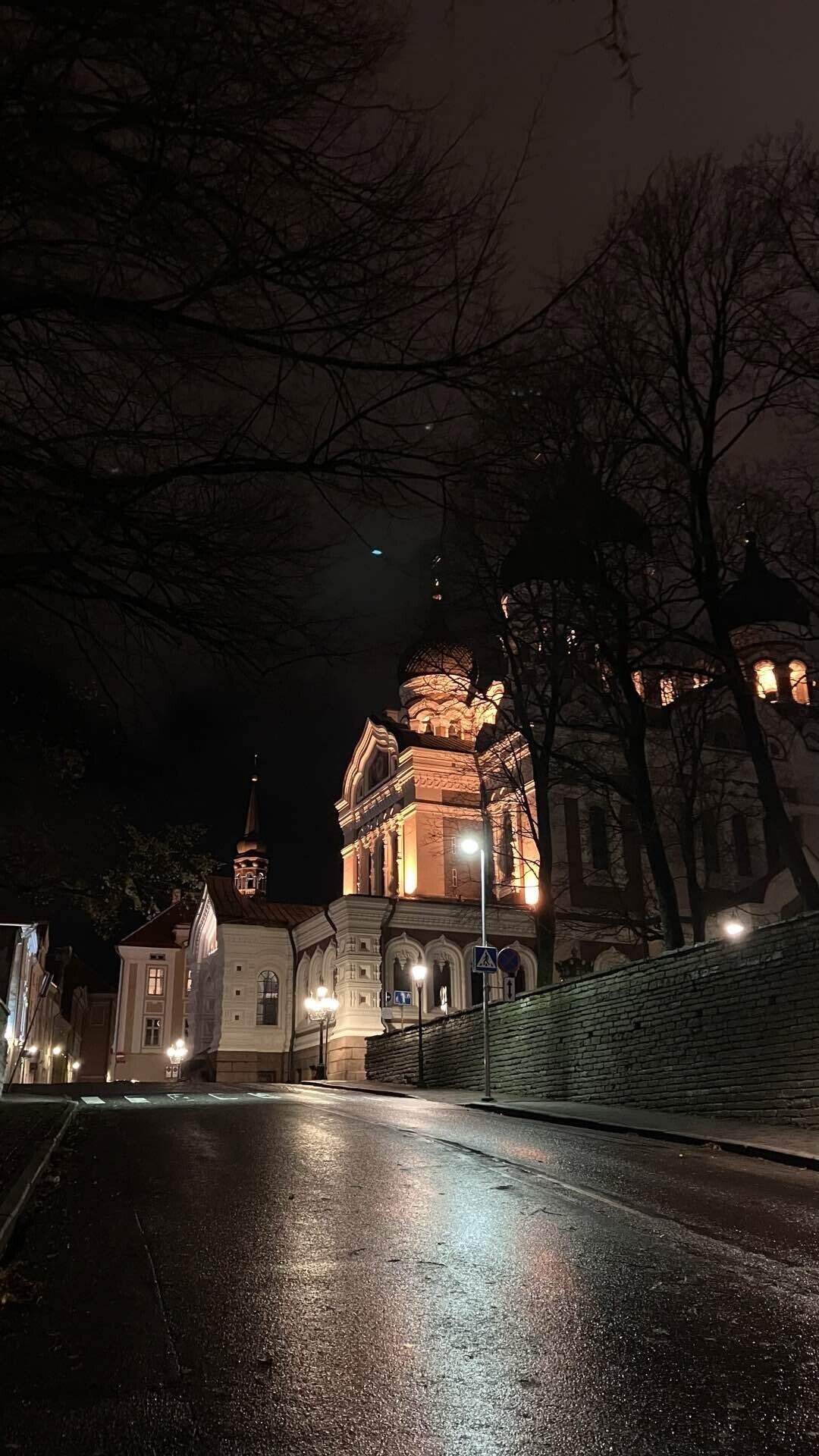 エストニア旅行+バルト三国比較(バルト三国一人旅③)｜な