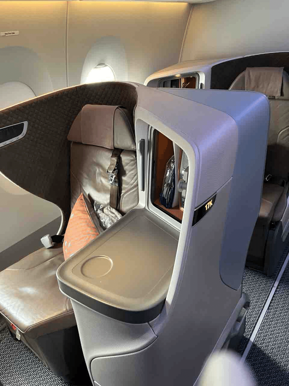 ANAシンガポール航空ビジネスクラス で行くマレーシア ペナン島🇲🇾シンガポール🇸🇬️🧳NH833,SQ177,SQ142,SQ135 ...