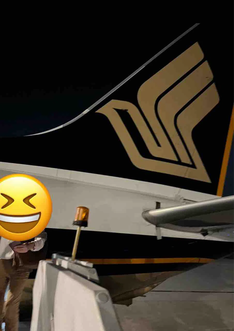 ANAシンガポール航空ビジネスクラス で行くマレーシア ペナン島🇲🇾シンガポール🇸🇬️🧳NH833,SQ177,SQ142,SQ135 ...