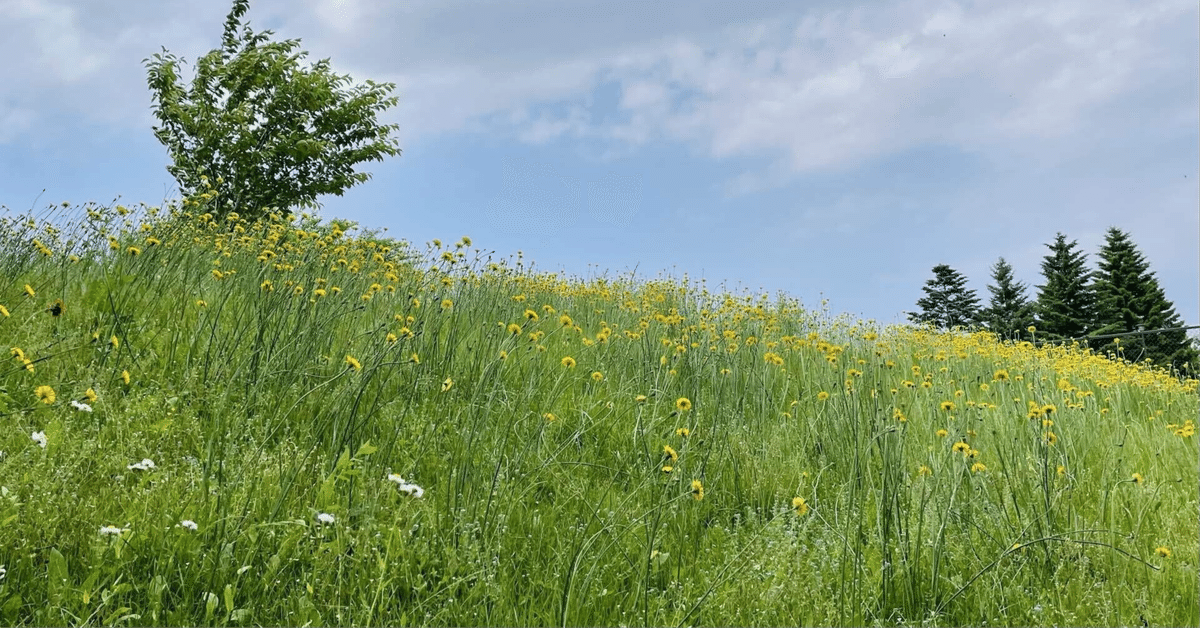 【42Tokyo】自衛隊を退職してから今まで｜なかじ
