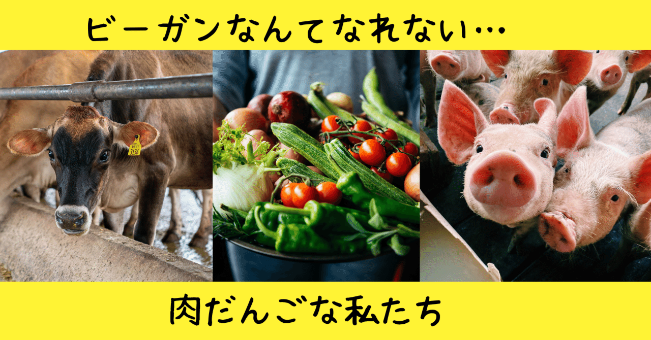 ビーガンなんかナカナカなれない…だって…肉だんごな私達🧆｜Tamaki Minto