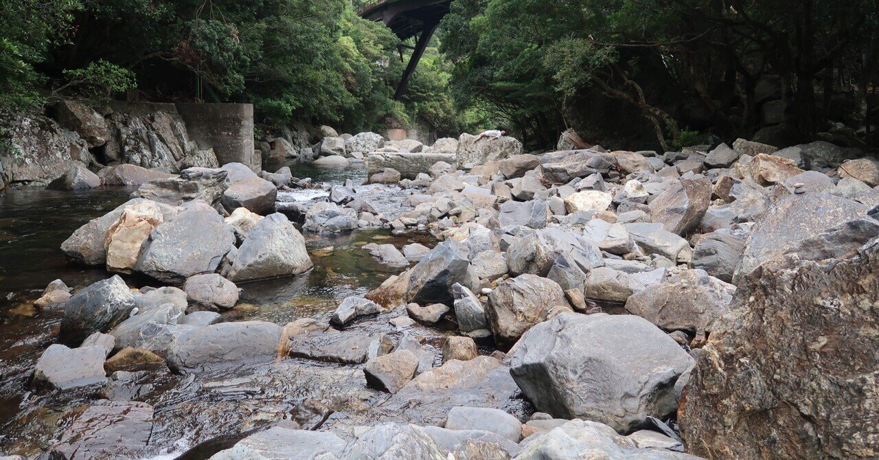 どちらがコンフォートゾーン？｜Miyuki Suto