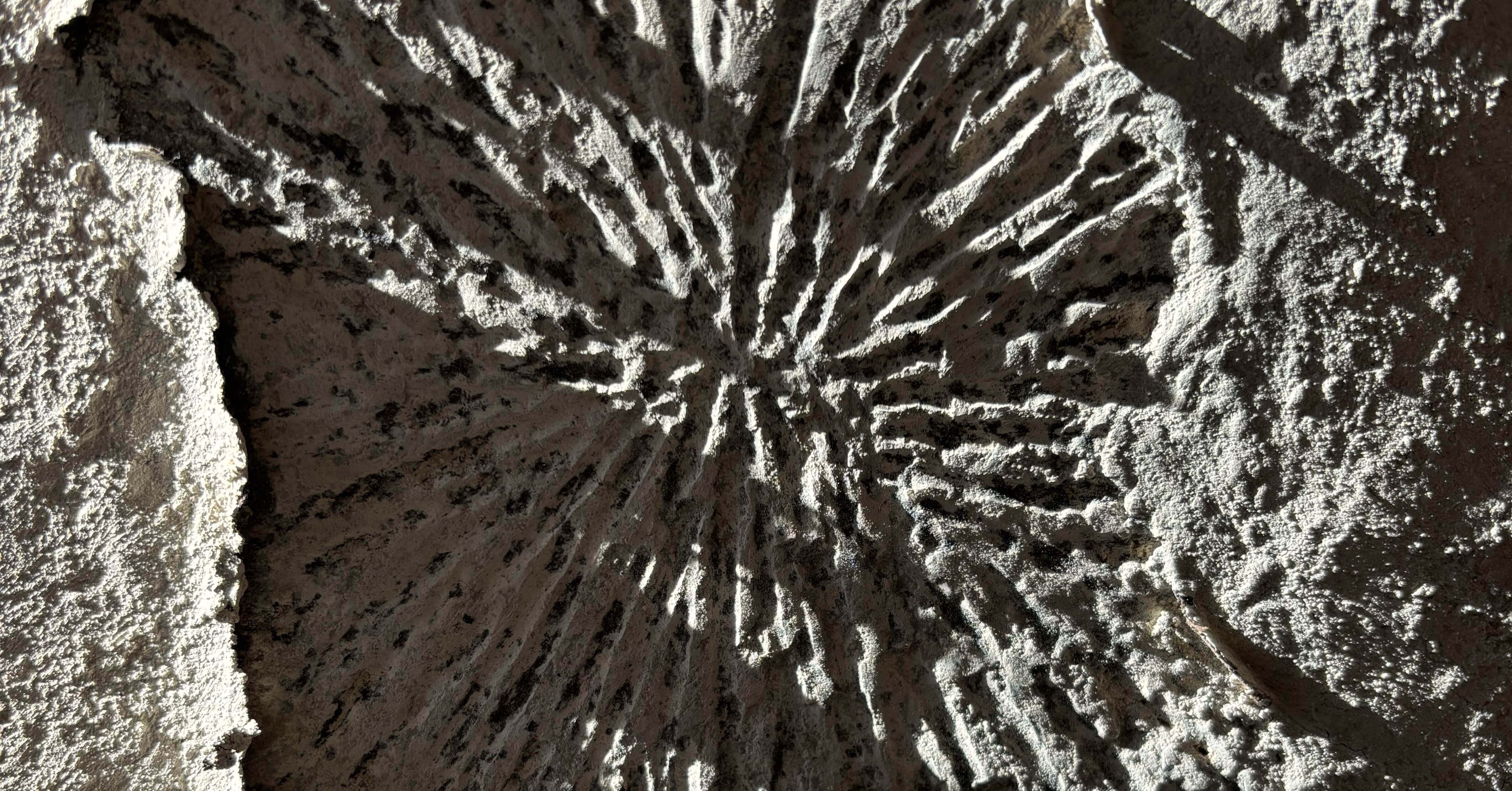 mako shimomura｜note