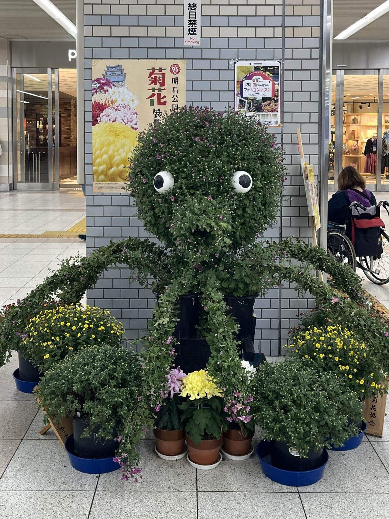 🐙タコさんの後ろにいるのは ️📷｜まるまるの虫 カメさん