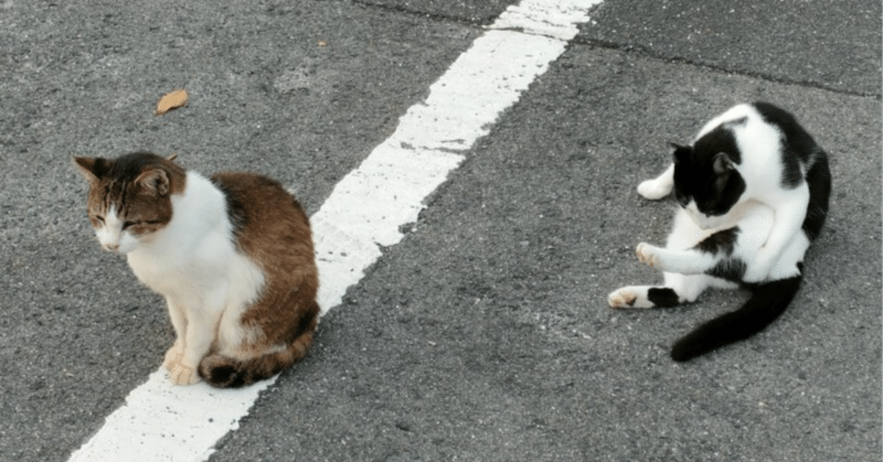 ダスターシュート｜sanngo