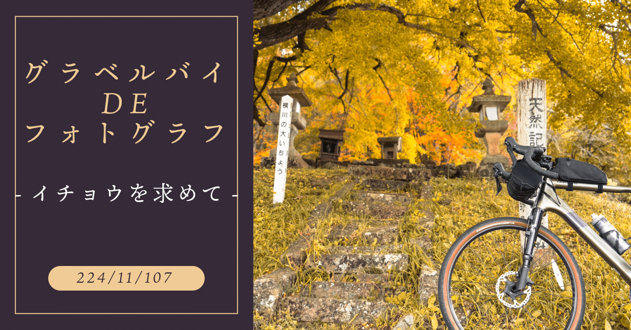 グラベルバイク DE フォトグラフ -イチョウを求めて-｜Xinn