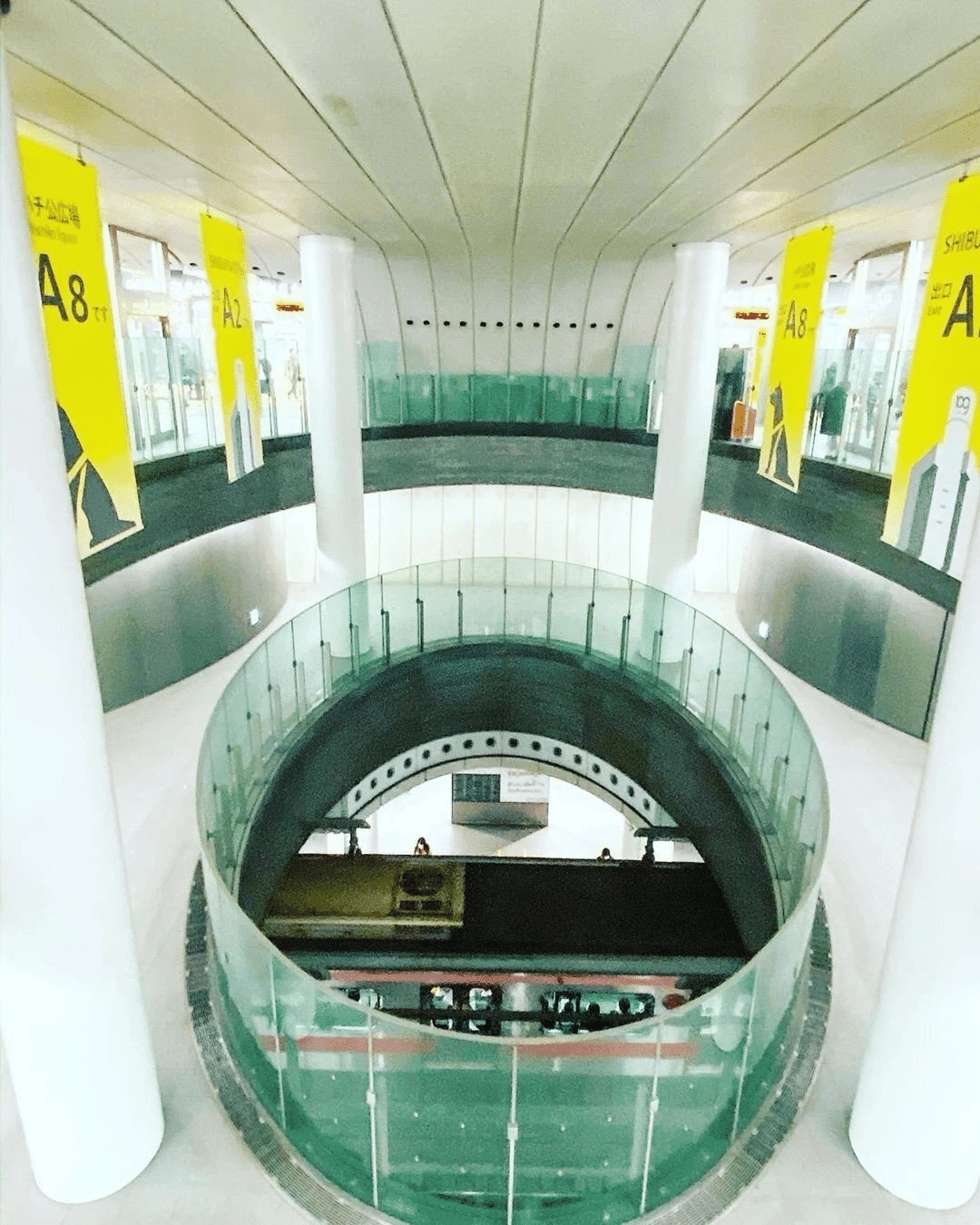 東京建築巡り〜安藤忠雄デザインの地下楕円形の吹き抜け｜東京の建築&アート巡りオタク@tanrock