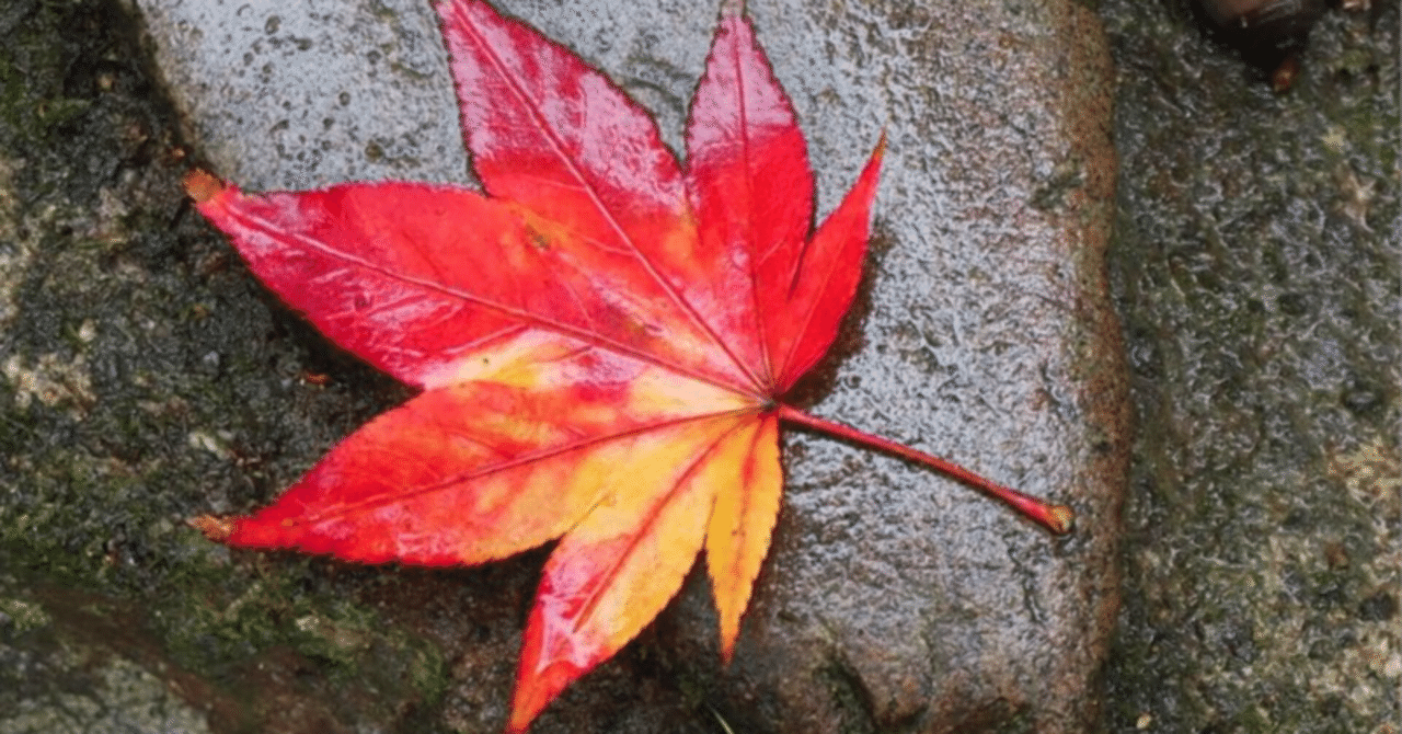 想ひ出に変わるとき｜sanngo