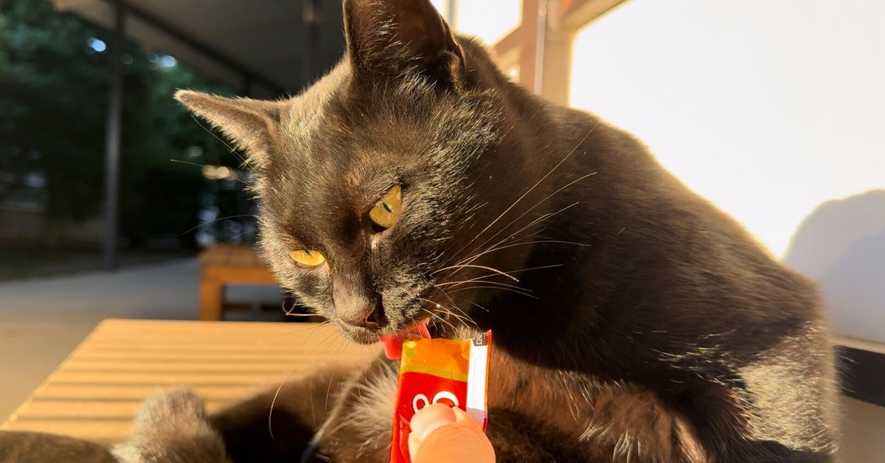 日々の日記Vol.86 2024年11月4日～11月10日（一週間分まとめてアップ）｜KOSHIRO FUMIAKI