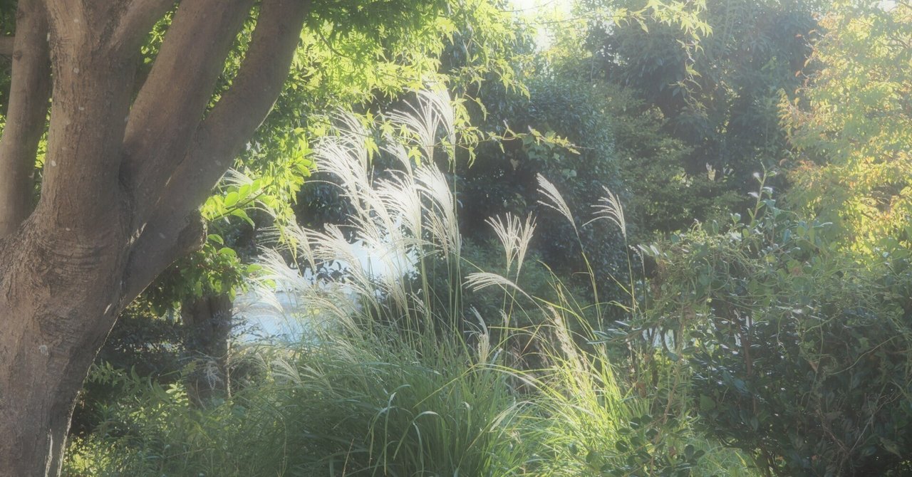 ふわっとした写真｜Humming.7