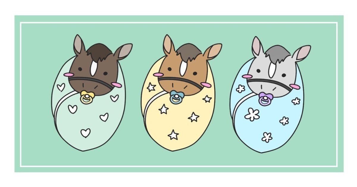 20241109｜きゃむ