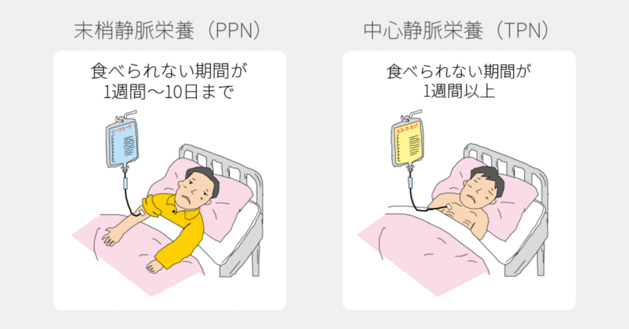 TPNとPPNの違い｜HSP薬剤師