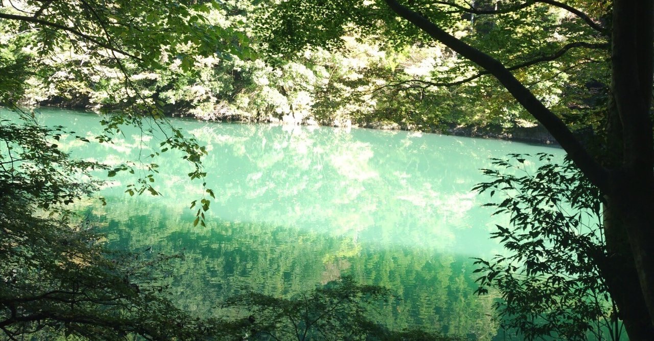 食べ物は心を満たす｜ココマイルcoco.mile