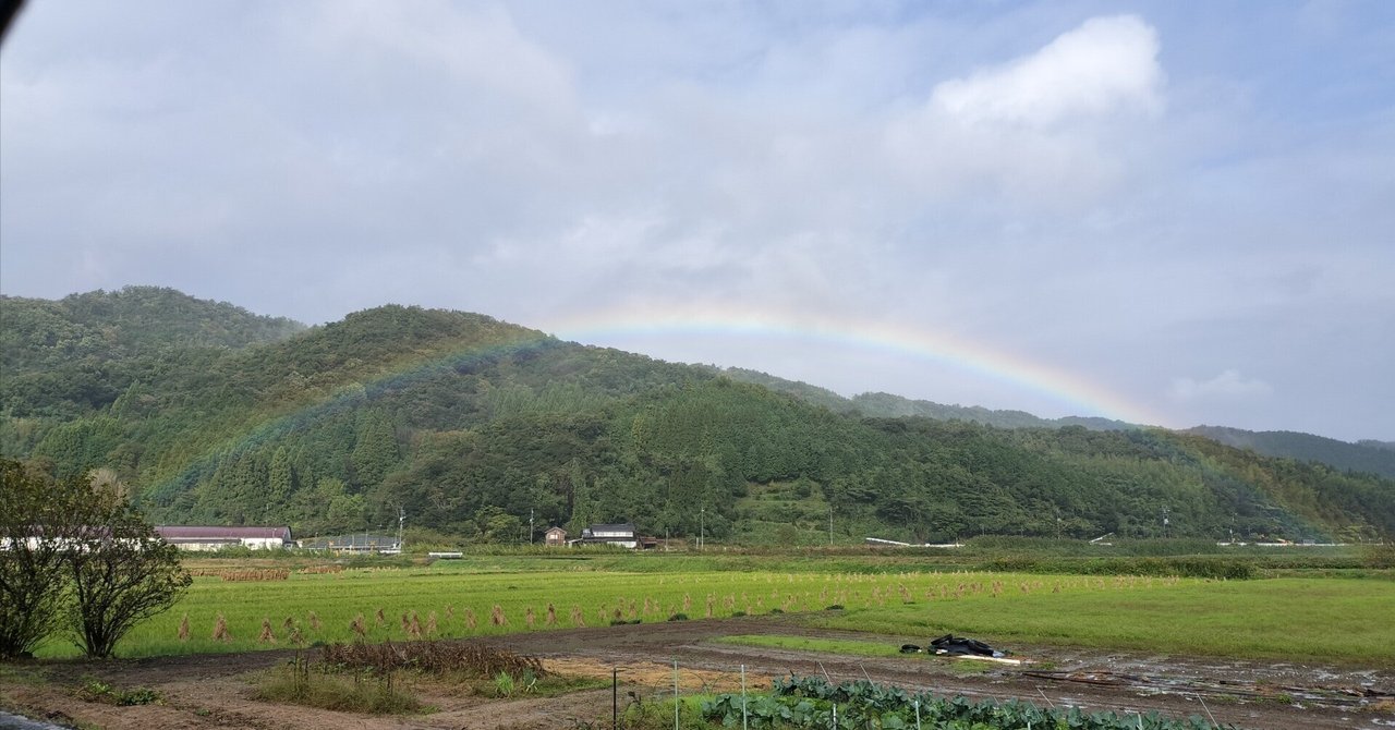 社長ブログ（〇〇の秋）｜yas