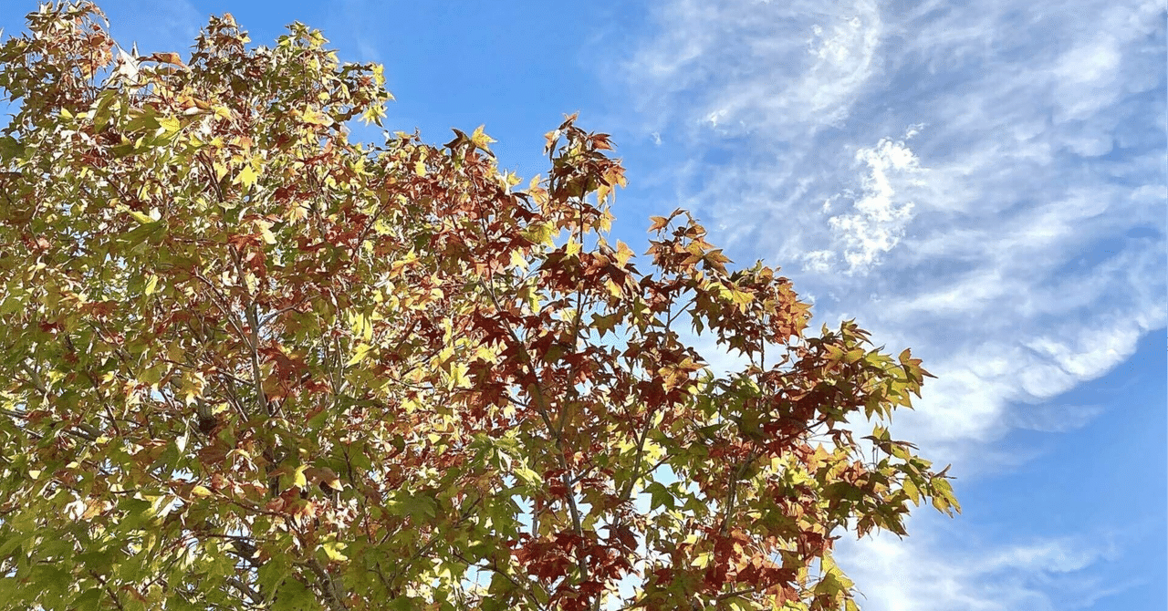 🎉 HP Envy x360 14-fa(AMD)【2024年モデル】レビュー！ 🎉｜太一塾長（受験の頼れる味方）