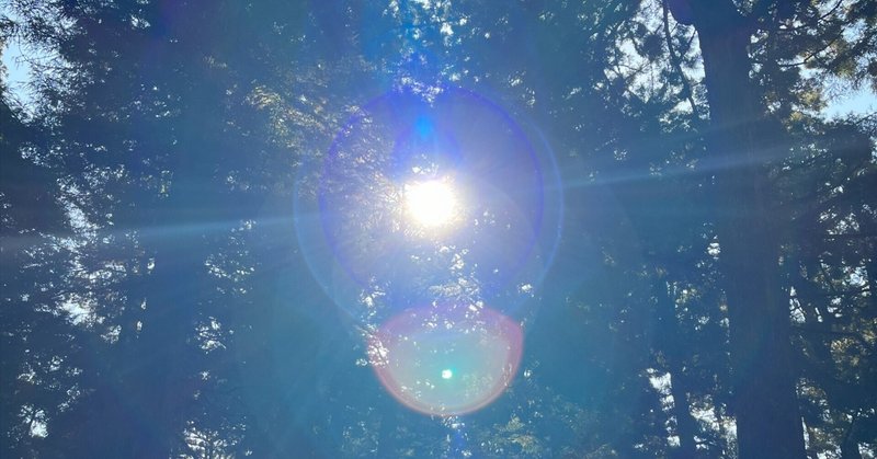 広野ゆい｜発達系NPO法人DDAC代表｜相談室へどうぞ😊｜公認心理師｜兵庫県障害福祉審議会委員等｜note