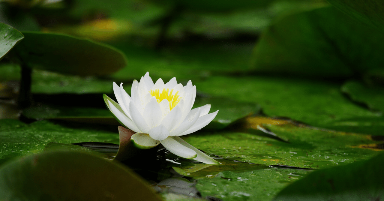 セラピスト沼にはまって次にやったのは昔の職場に甘えること｜halun