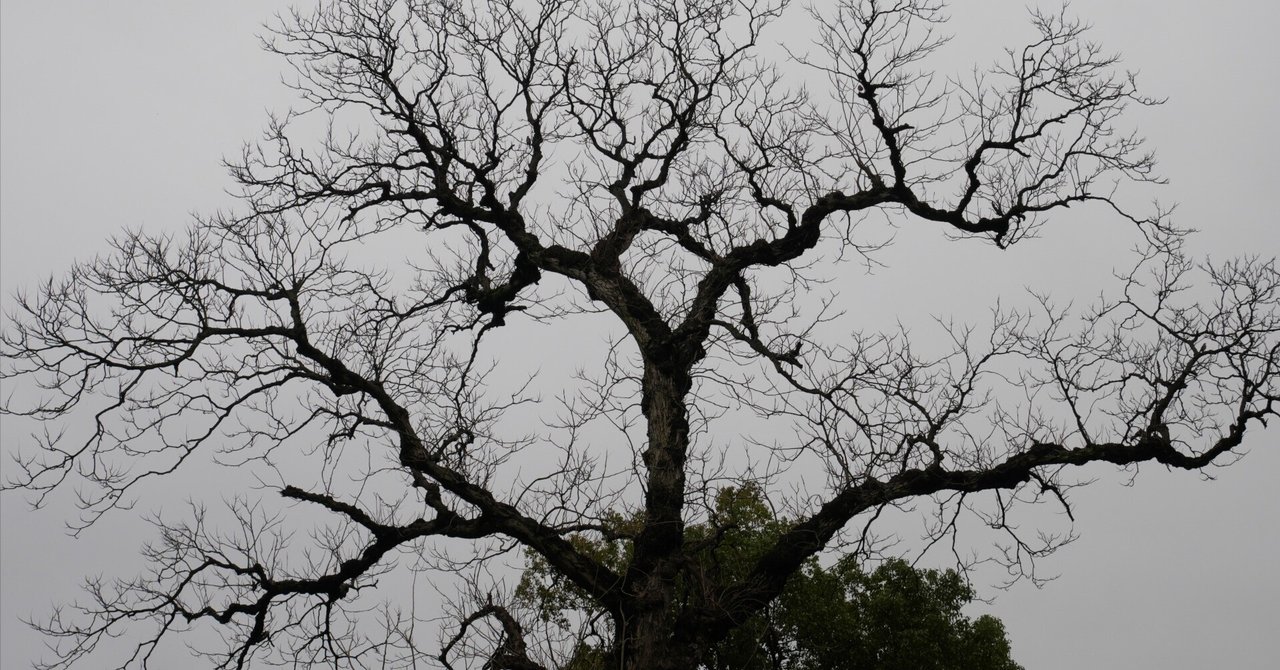 人生もYouTubeも、“仮説”と“検証”の繰り返し｜けん