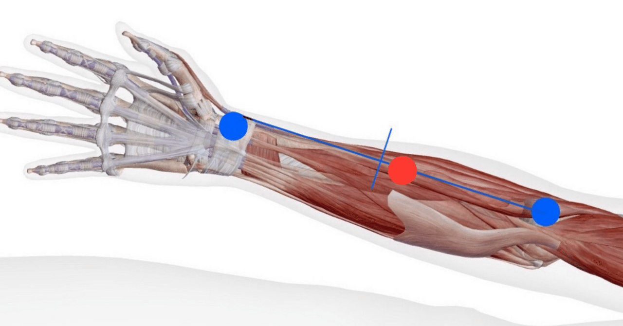 孔最 -Kousai- LU6｜Tetsu@鍼灸学生