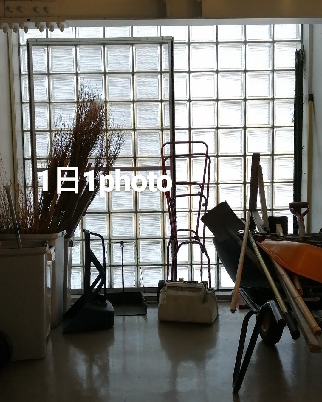 1日1photo｜優雅瞬