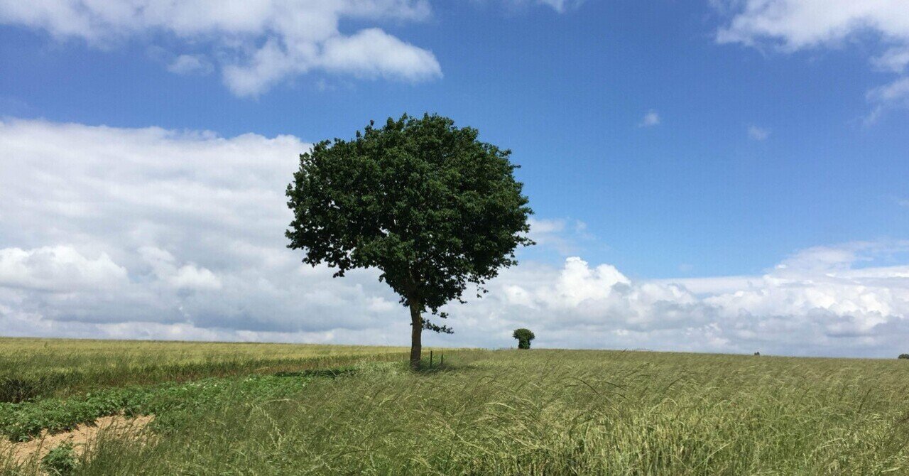 卒業式の祝辞みたいな20代へのメッセージ｜Jun Ikematsu / 池松潤