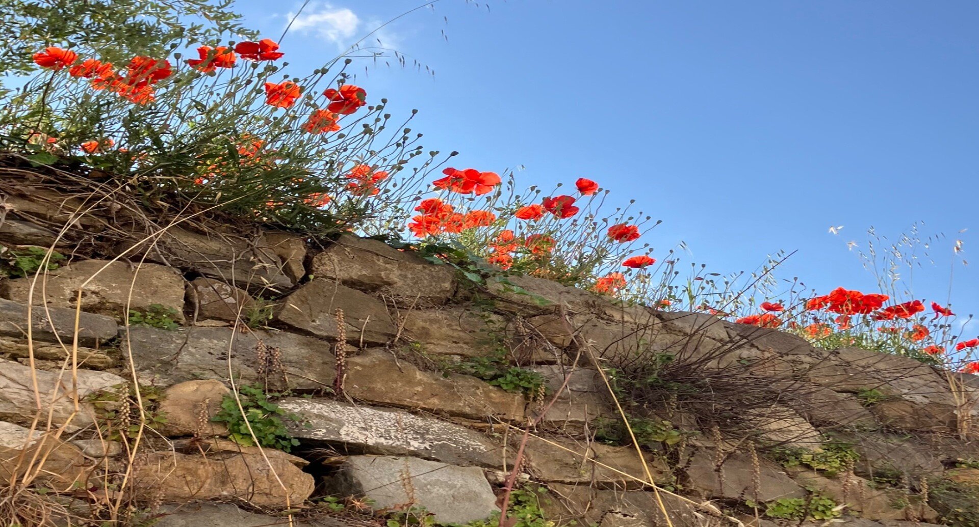 駐在妻（夫）になった。引っ越し前の疑問について。｜Mama Eri｜note