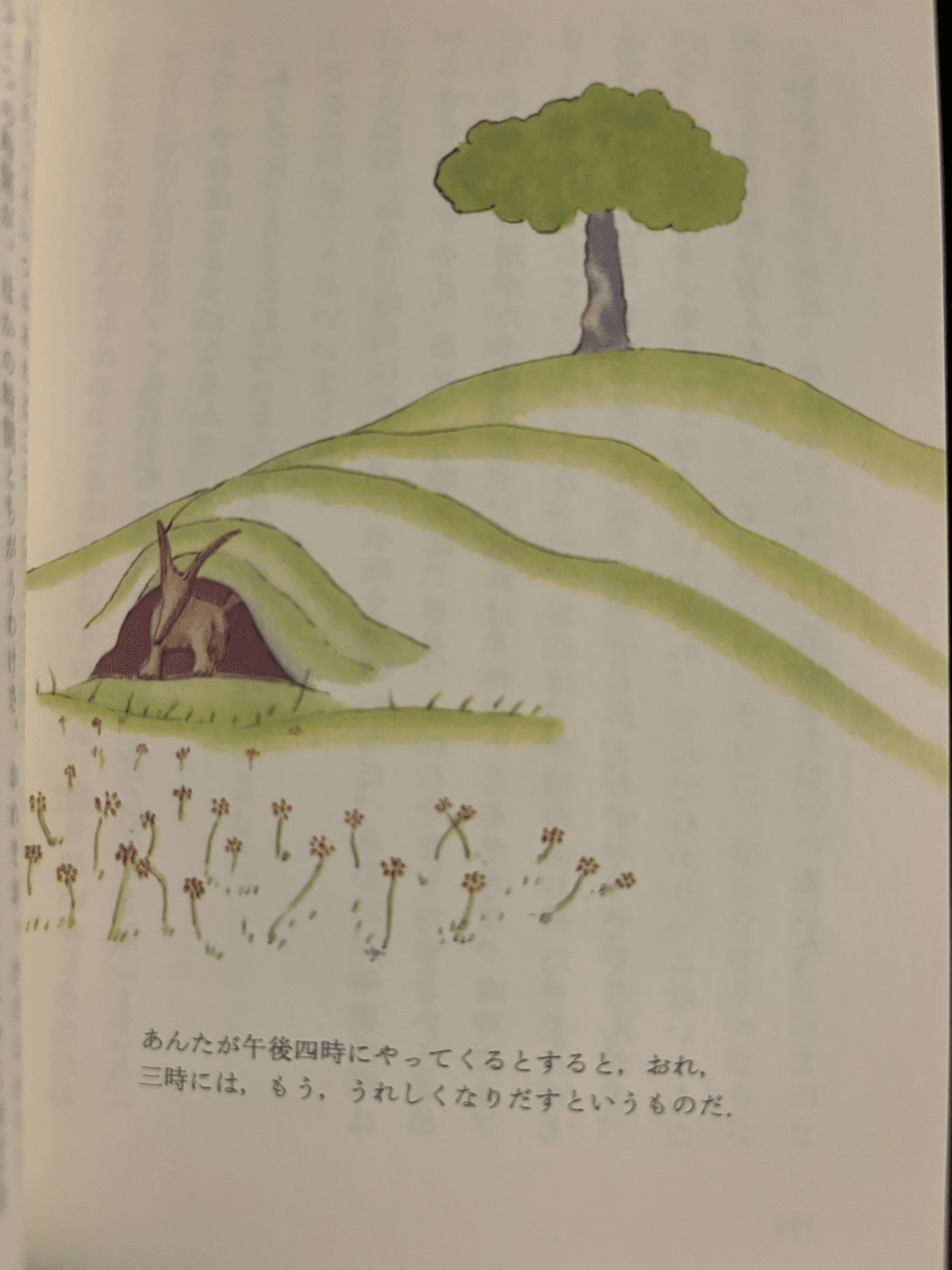 【1分/ハングル日常会話】⑦目の前で見えていることよりも……｜趙 せいか/ Seika / 성과