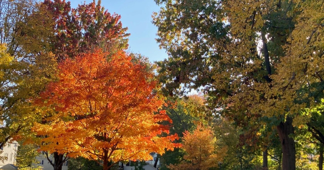 ＃3 ツールで子育て対話～親のためのシステム思考～｜小林 浩子 Hiroko Kobayashi