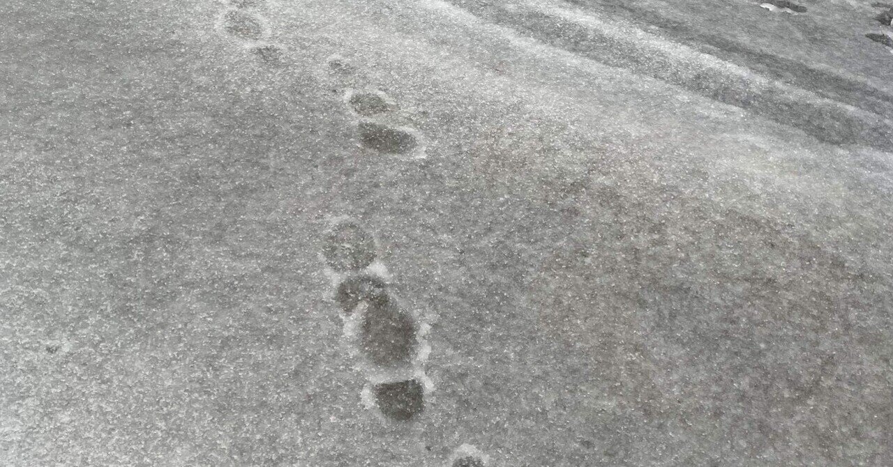 ハードル高く感じる時の対処法｜Chiyo🌿