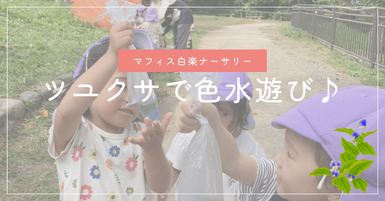 ツユクサで色水遊び♪（マフィス白楽ナーサリー）｜Maffice -マフィス- | 保育note