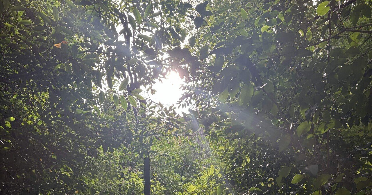 本物の精神的指導者とは｜Reiko Kim