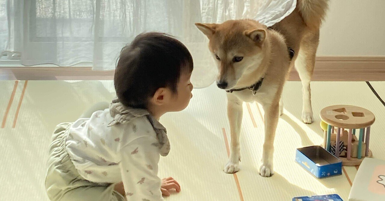 【愚痴】1つ1つの積み重ね｜723nk